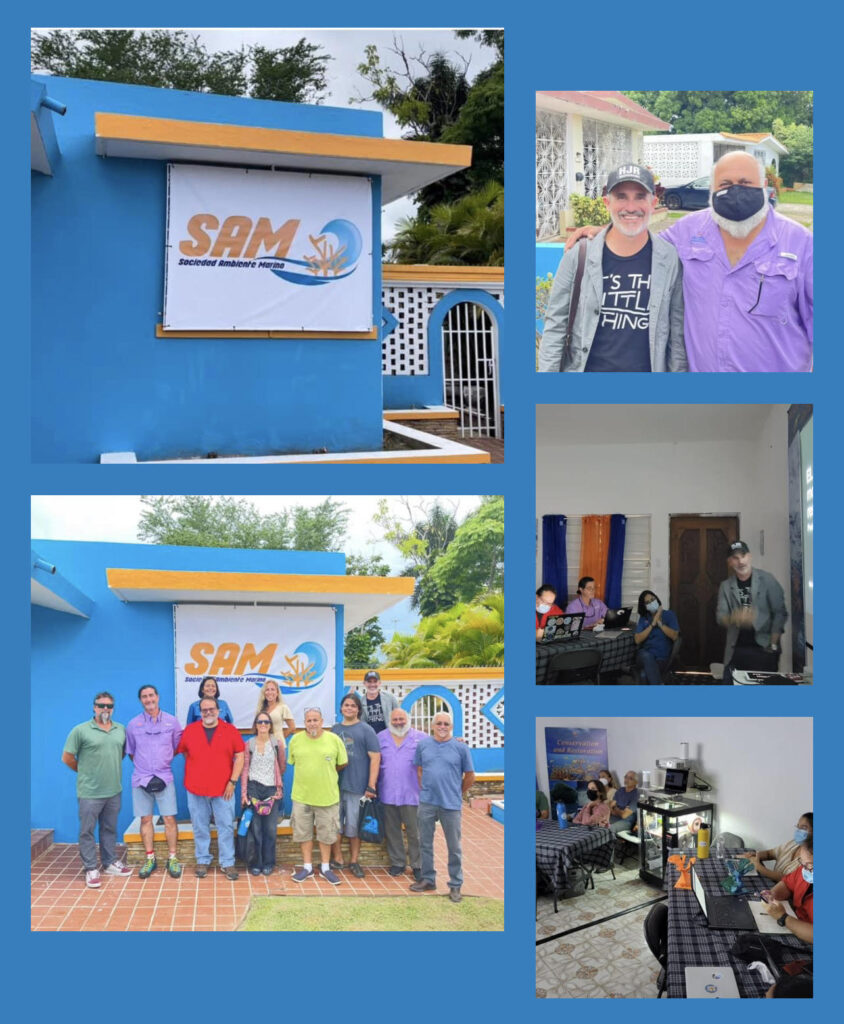 Colaboración con organizaciones que trabajan con arrecifes en Puerto ...