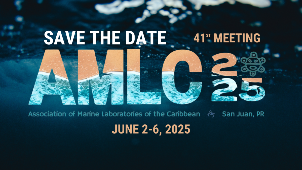 AMLC 2025 41st Meeting – Sociedad Ambiente Marino